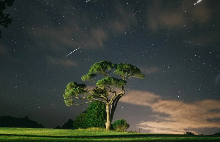 star gazing - Visit Totnes